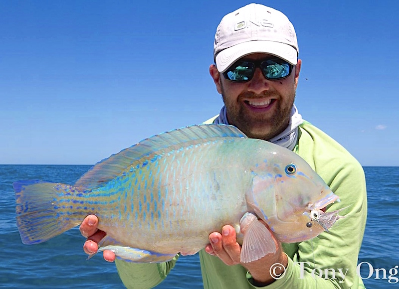 Club Records – Saltwater Flyrodders of Western Australia