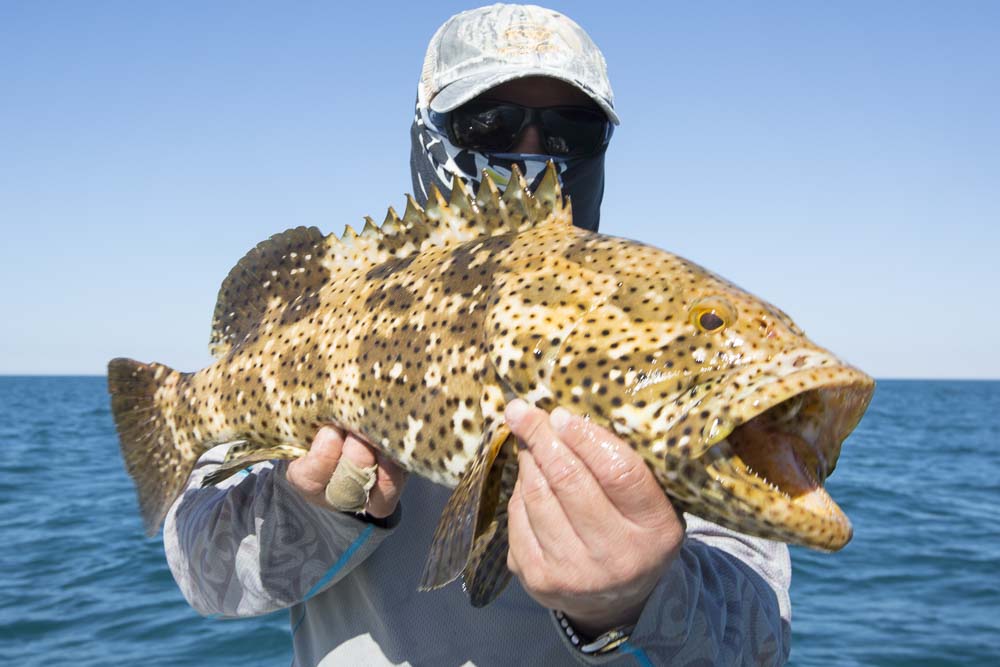 Club Records – Saltwater Flyrodders of Western Australia