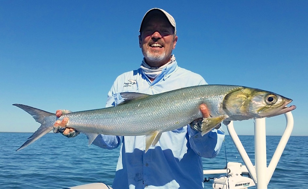 Club Records – Saltwater Flyrodders of Western Australia
